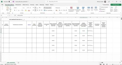 Plan zamówień publicznych – wzór - Portal ZP
